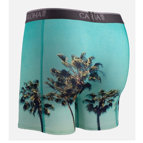 Cariloha | Underwear & Socks | Cariloha Bamboo Boxer Briefs Sky Palm ...